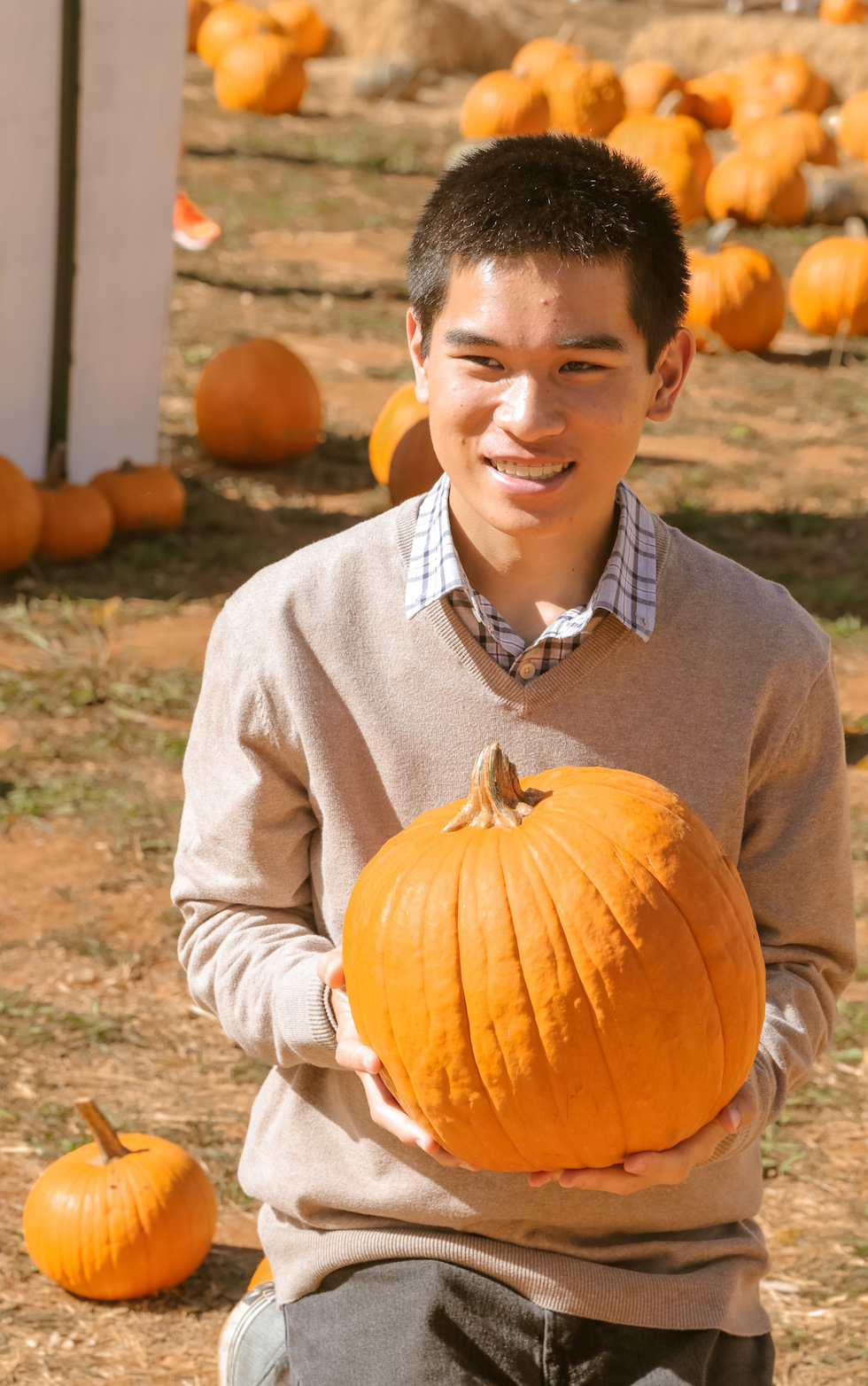 David Edward Ison | Gallery